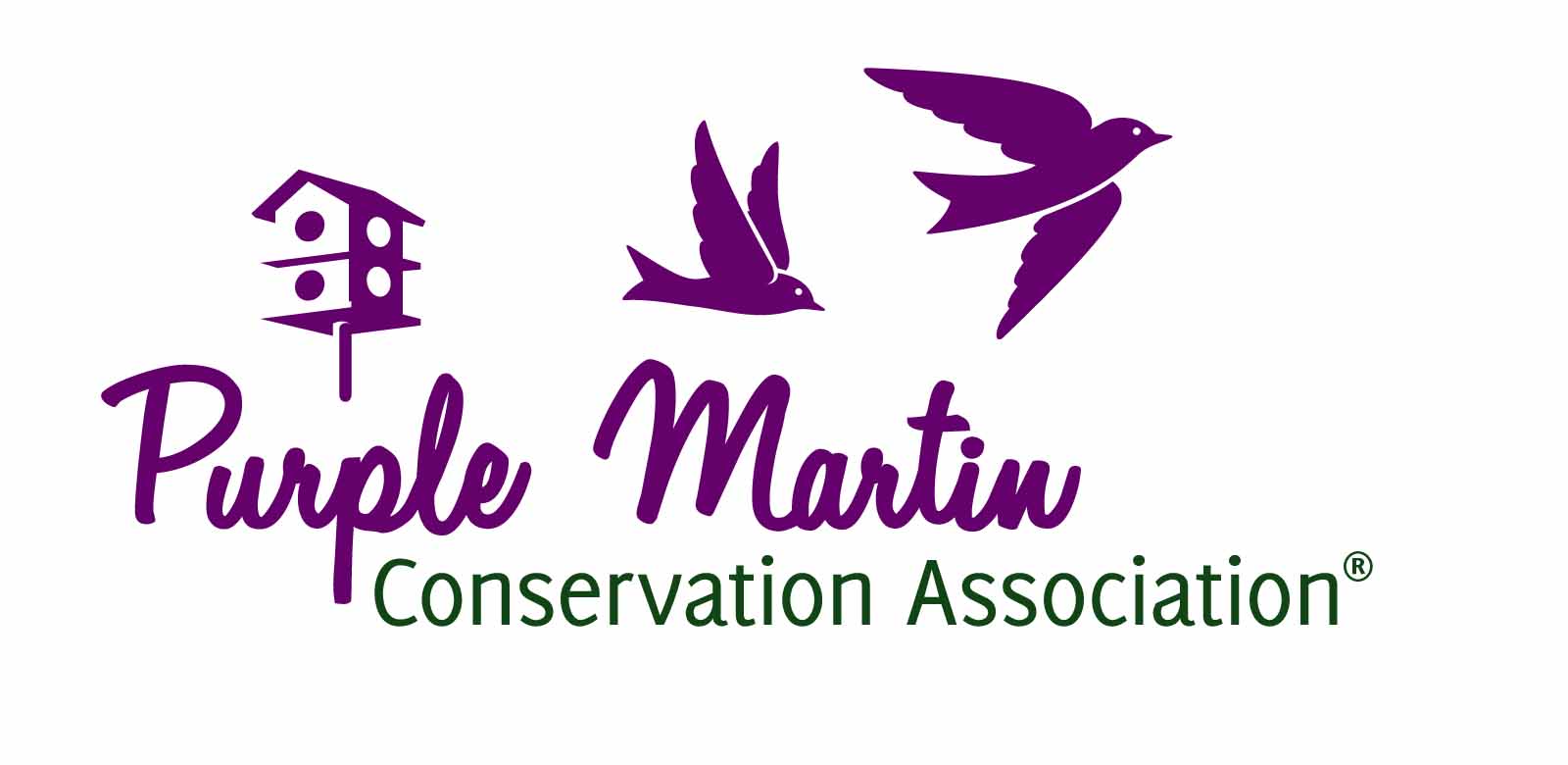Purple Martin Roost at Lake Pontchartrain – Orleans Audubon Society
